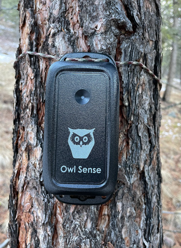 Owl Sense Wildlife Audio Recorder
